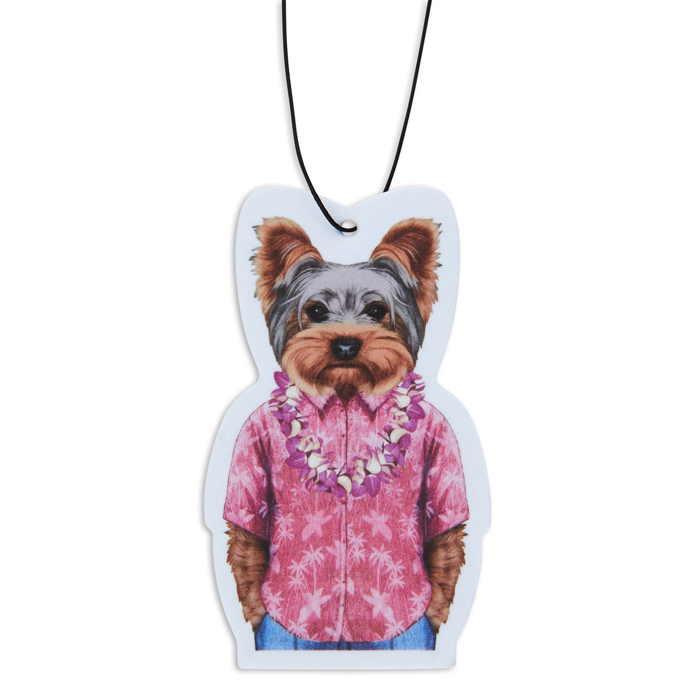 Yorkie In Hawaii